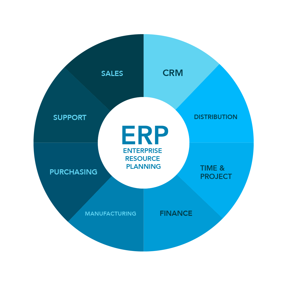Why NetSuite? - ERP Buddies Inc.